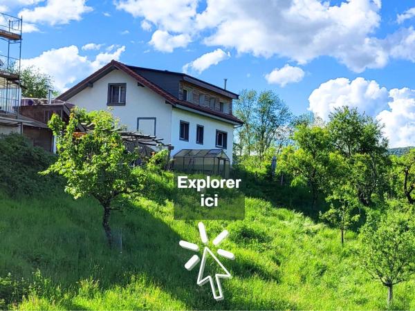 Coeurvert Calme En Clairière - Ruhe In Der Waldlichtung - Forest Clearing Stillness - Lure
