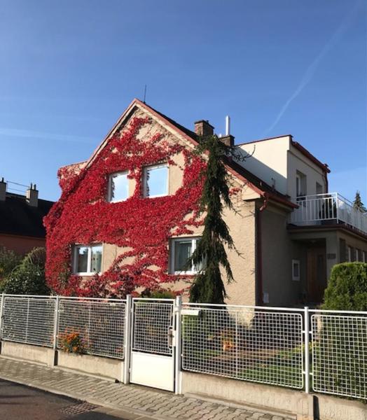Apartman Pro 4 Osoby - Czechia