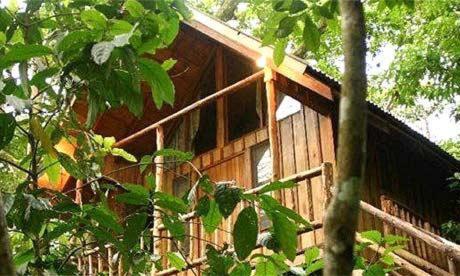 Bayrams Tree Houses - Adrasan