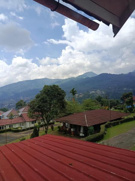New Pratama - Cisarua