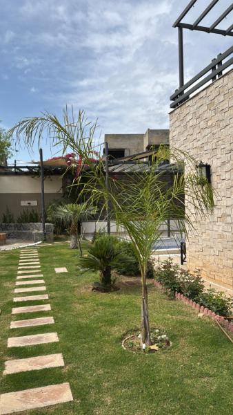 The Ivory - Islamabad