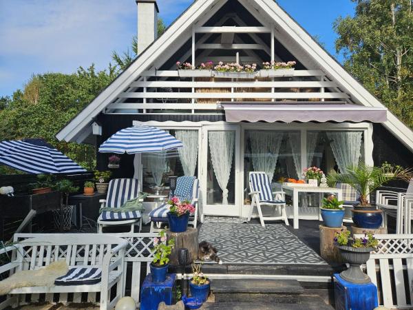 Kats Fristed - Danemark