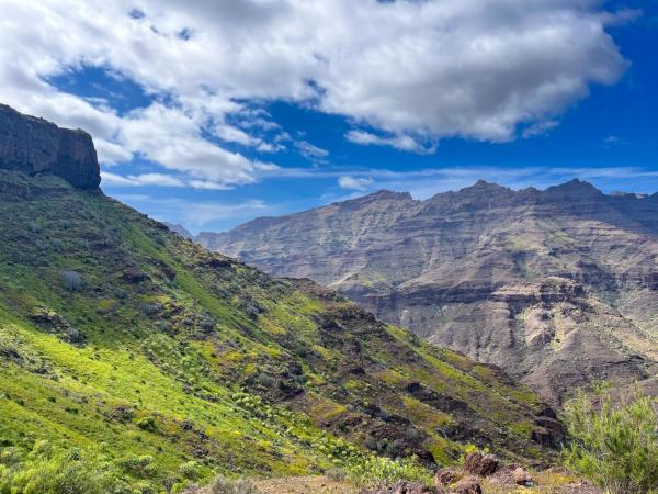Eco Finca Mogan, Hostel And Apartment - Gran Canaria