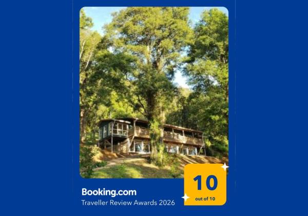 La Casa En El Bosque Con Vista Al Río - Valdivia