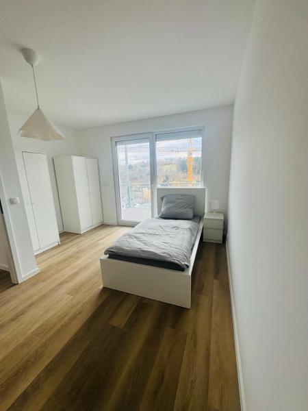Siegen Apartments - Modern & Mit Parkplatz - Siegen