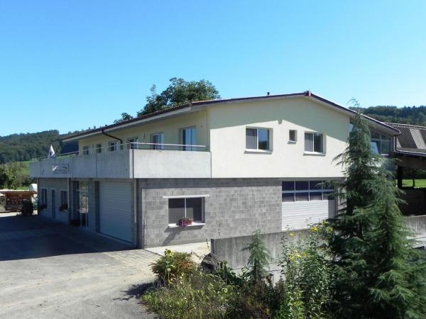 Apartment Zum Frohsinn By Interhome - Winterthur