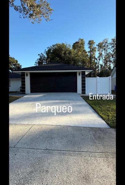 House In Autumn Leaves - Tampa, FL