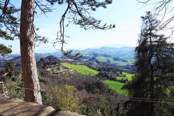 Monolocale Lady - Urbino