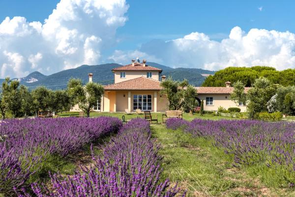 Agriturismo Villa Toscana - San Vincenzo