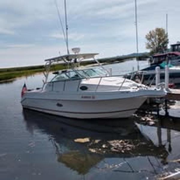 Augres Walleye Assassin Charters - Míchigan