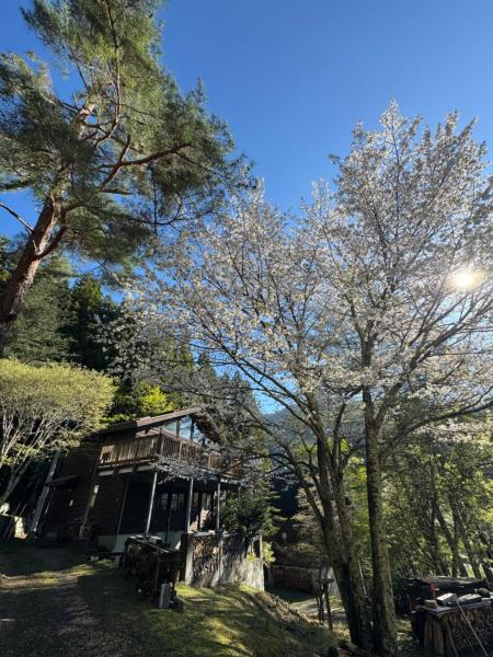 Cabin D 3min Walk Lake Saiko Remote Work Bbq, 5min Drive Kawaguchi Lake Mt Fuji View - Fujikawaguchiko