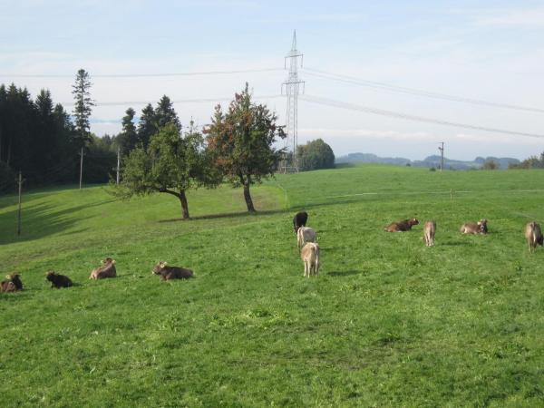 Ferienwohnung Huber - Weiler-Simmerberg