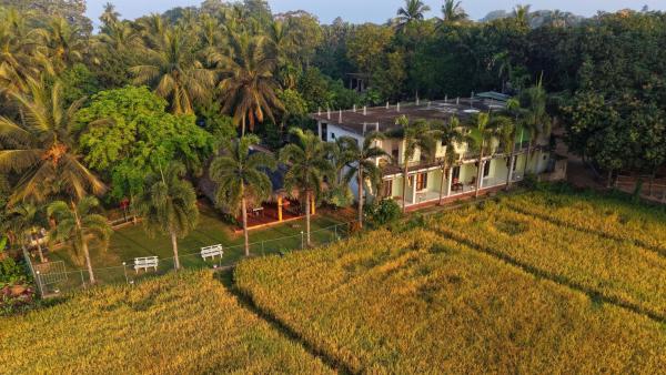 Ancient Village - Sri Lanka