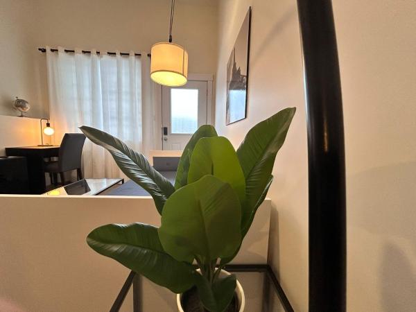 Spacious Family Suite With Private Kitchenette And Laundry - Halifax