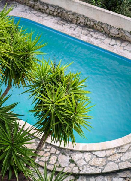 Apartment Sofia - Nin