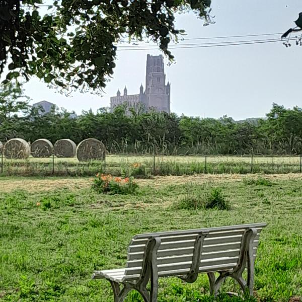 Gite à La Campagne Avec Vue Sur La Cathédrale - Albi - Albi
