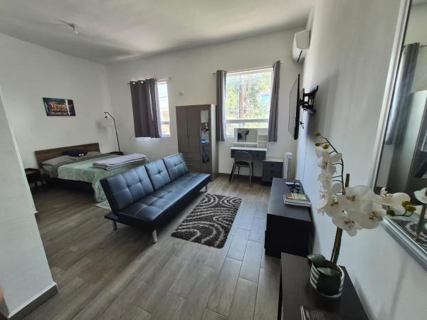 Spacious Loft#2 In Secure Area - Monterrey