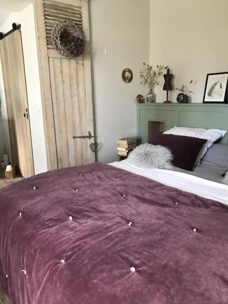 Chambre à Louer à Ploufragan - Zoopôle - Saint-Brieuc
