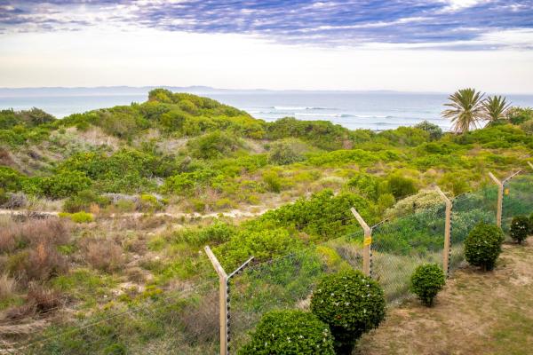 Claptons Beach The Jackalope - Jeffreys Bay