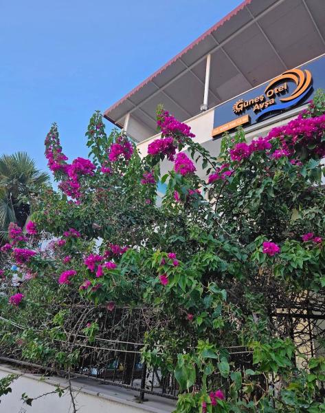 Avşa Güneş Otel - Avşa Island