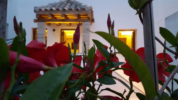 El Arriate De Vejer - Vejer de la Frontera