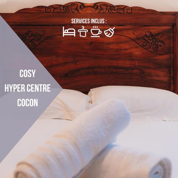 Le Nid Douillet - L'esprit Chalet En Centre Ville - Châteauroux