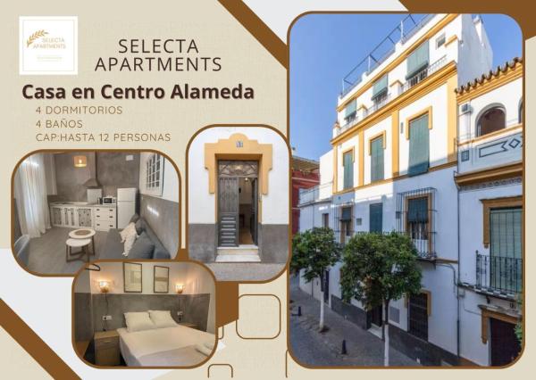 Selecta Casa Central Alameda - Séville