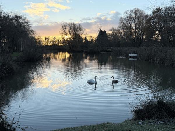 Fleece Lodge - Moreton-in-Marsh