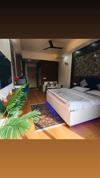 Caelume Luxury Stuidos - Noida