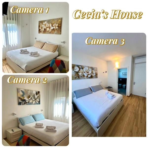 Cecia's House - Bassano del Grappa