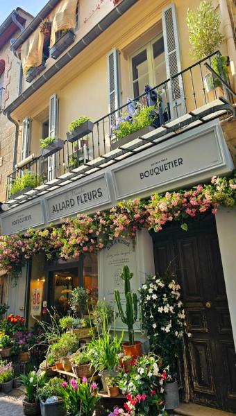 Stylish & Cozy Studio In The Heart Of Old Antibes - アンティーブ