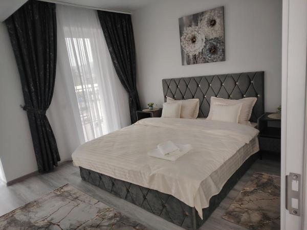 Panorama Loft - Frasin