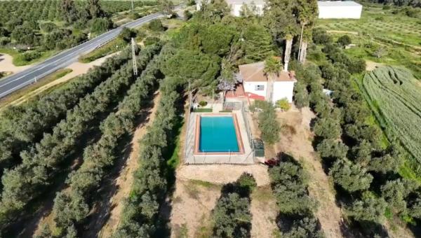 Casa De Huéspedes Independiente - 5 Pax - En Finca El Palmar - Trigueros