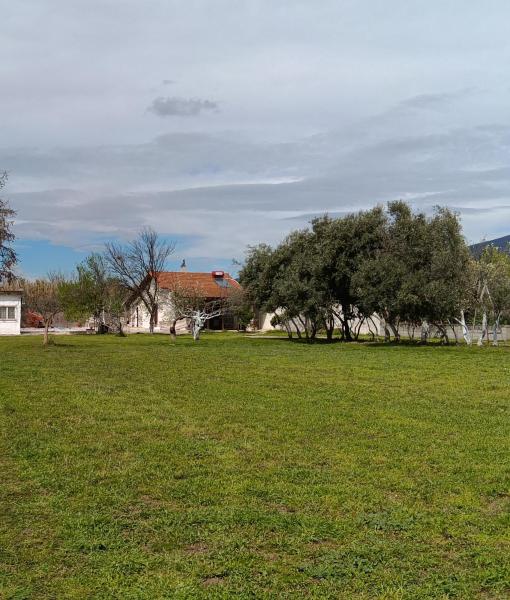 Aggelos Gardenhouse Of Volos! - Волос