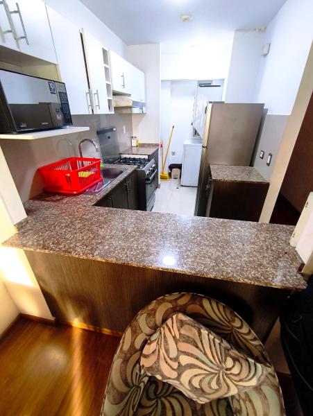 Cerca Al Centro Histórico De Lima - Lima