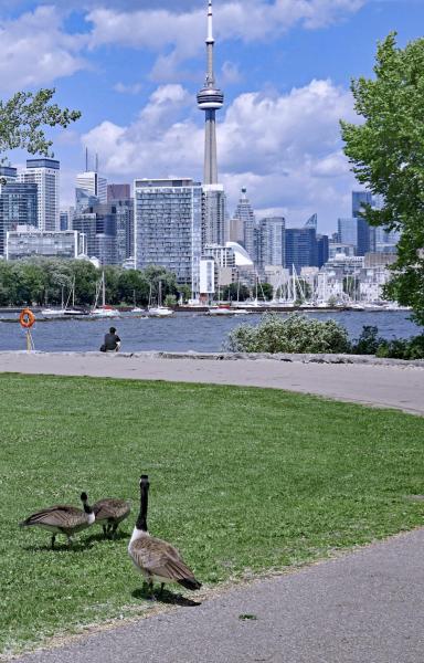 Horizon Luxury Cn Residence - Lakeside - Free Parking - Toronto