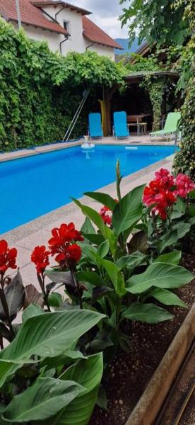 Apartman Murko S-3 - Eslovenia
