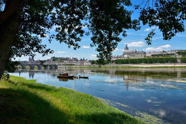 Séjournez Face Au Château Royal De Blois - Blois