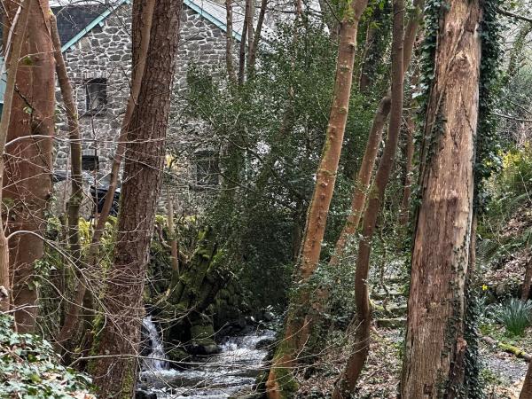 Millers Loft - Snowdonia