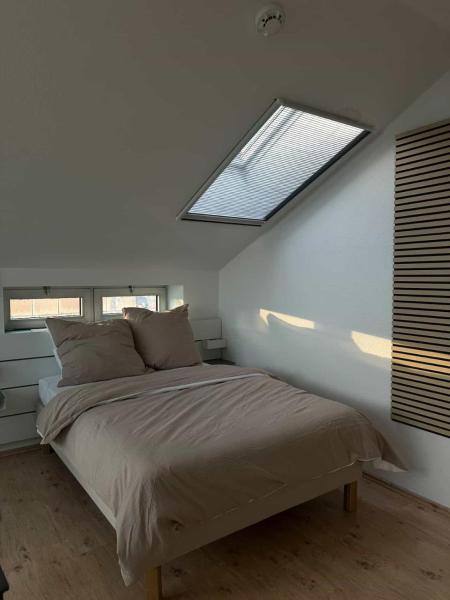 Helle, Moderne Wohnung In Der Innenstadt - Greifswald