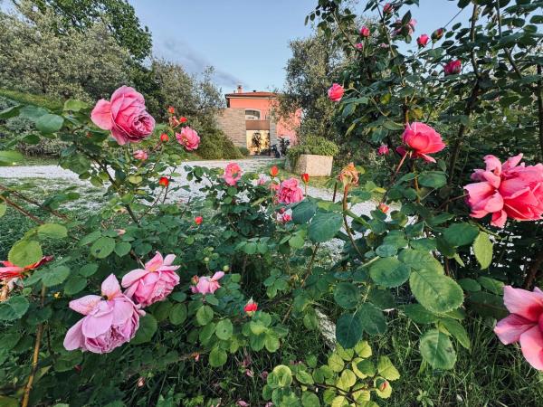 Agriturismo Belfiore - Carrara