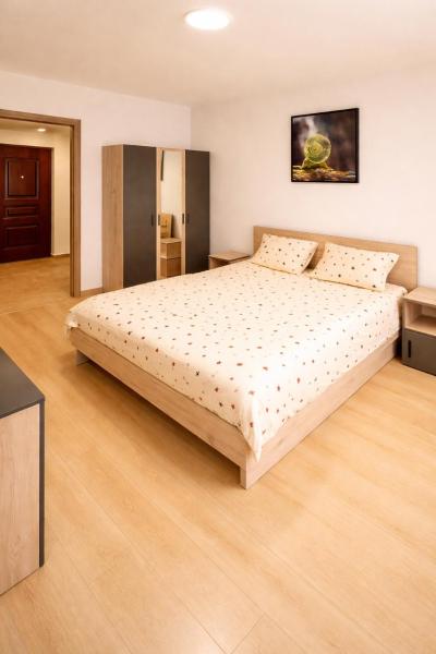 Nicolle Cozy Apartment - Pitești