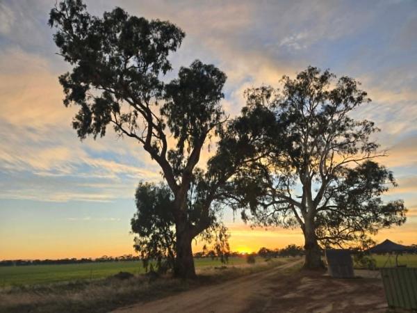 Redgum River Retreat - Avoca