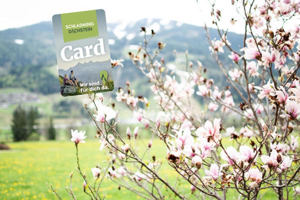 Gästehaus Erika - By Mynests - Hallstatt