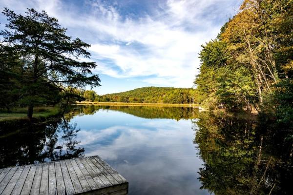 Peaceful Chalet-cabin With A Private Lake, Hot Tub, Fire Pit And Deck At This Berkeley Springs, Wv Getaway - Berkeley Springs, WV