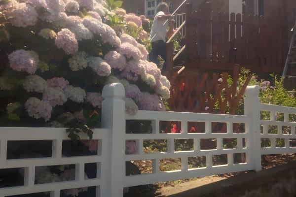 Grand Studio - Plage de Trégastel