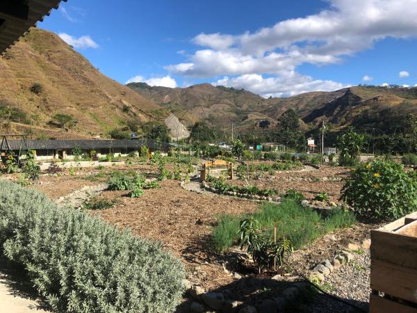 Living Ground, Masanamaca - Ecuador