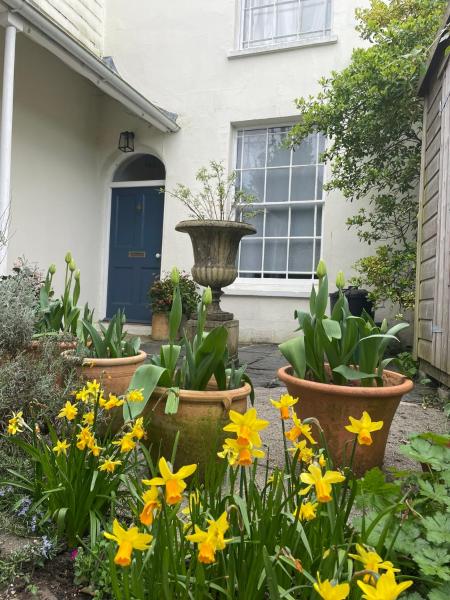 Luxury Flat In Totnes - Totnes