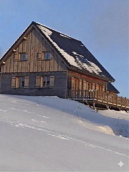 Chalet Des Monts Dore - Picherande