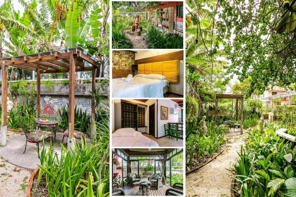 Avó Isaura - Aluguel De Estúdios - Florianópolis